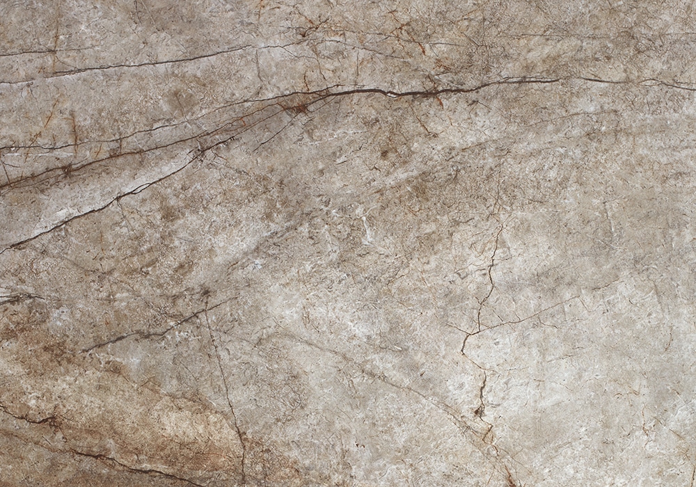 RAIN FOREST - Tiles and Stone