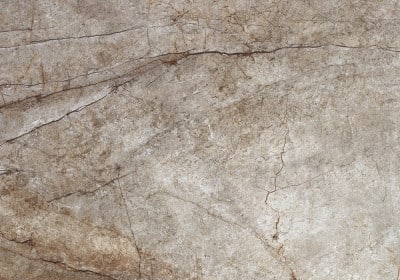 RAIN FOREST - Tiles and Stone